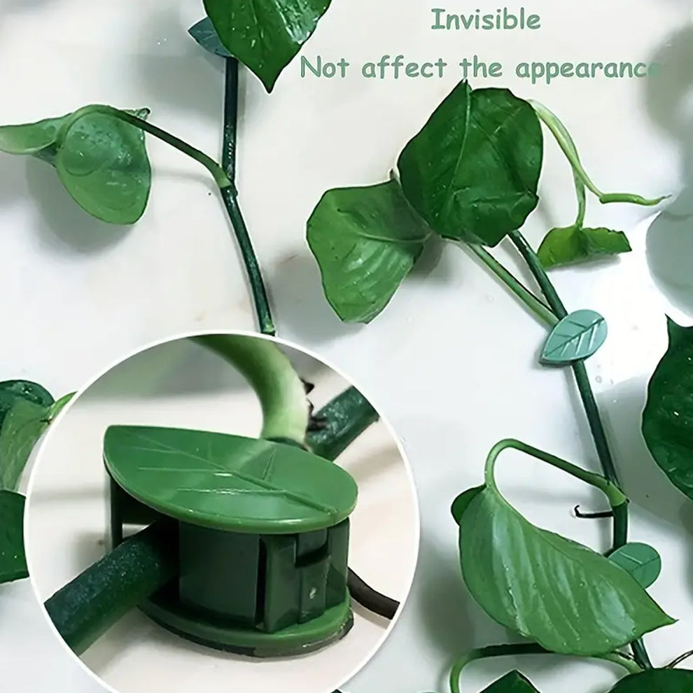 Buy Plant Climbing Wall Fixture Clips - 10 Pcs Set | DeoDap
