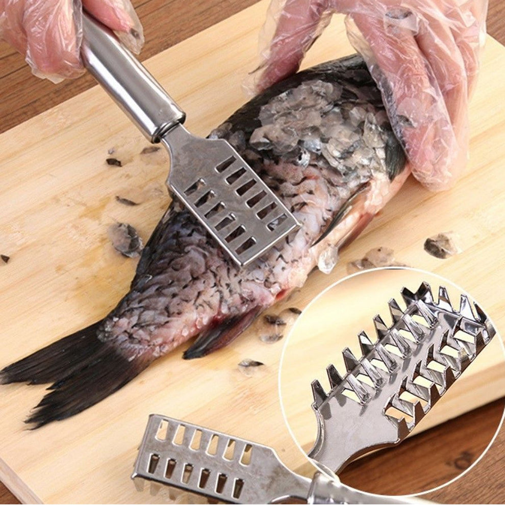 Buy Stainless Steel Fish Scale Remover Scraper | DeoDap